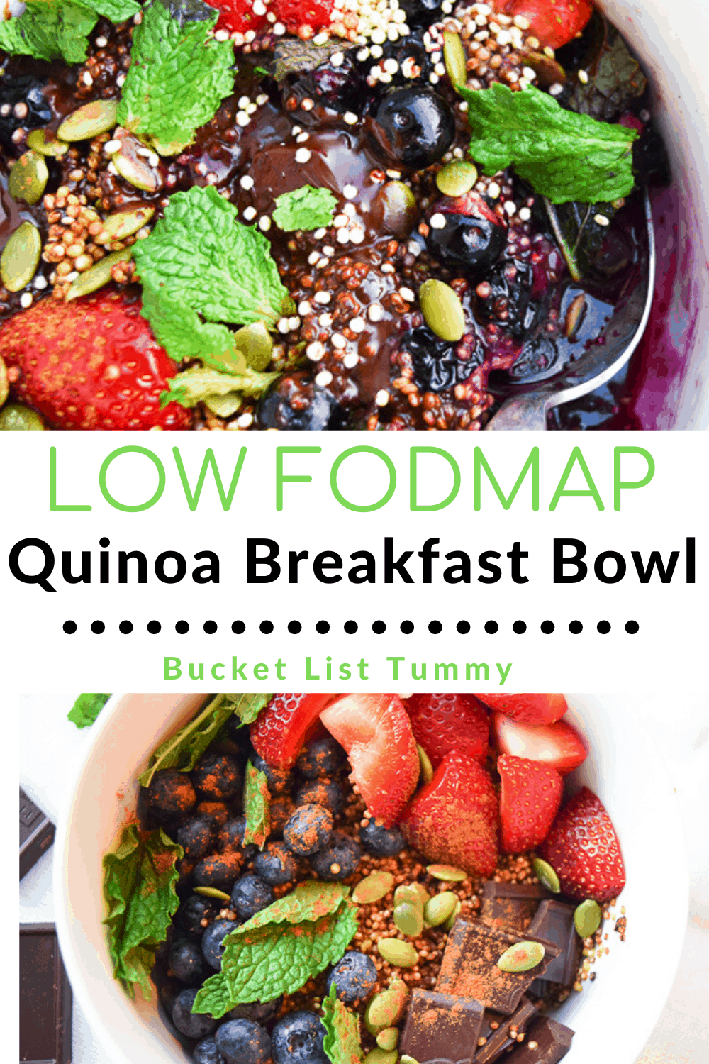 Chocolate Mint Quinoa Breakfast Bowl (Low FODMAP Breakfast Recipe)