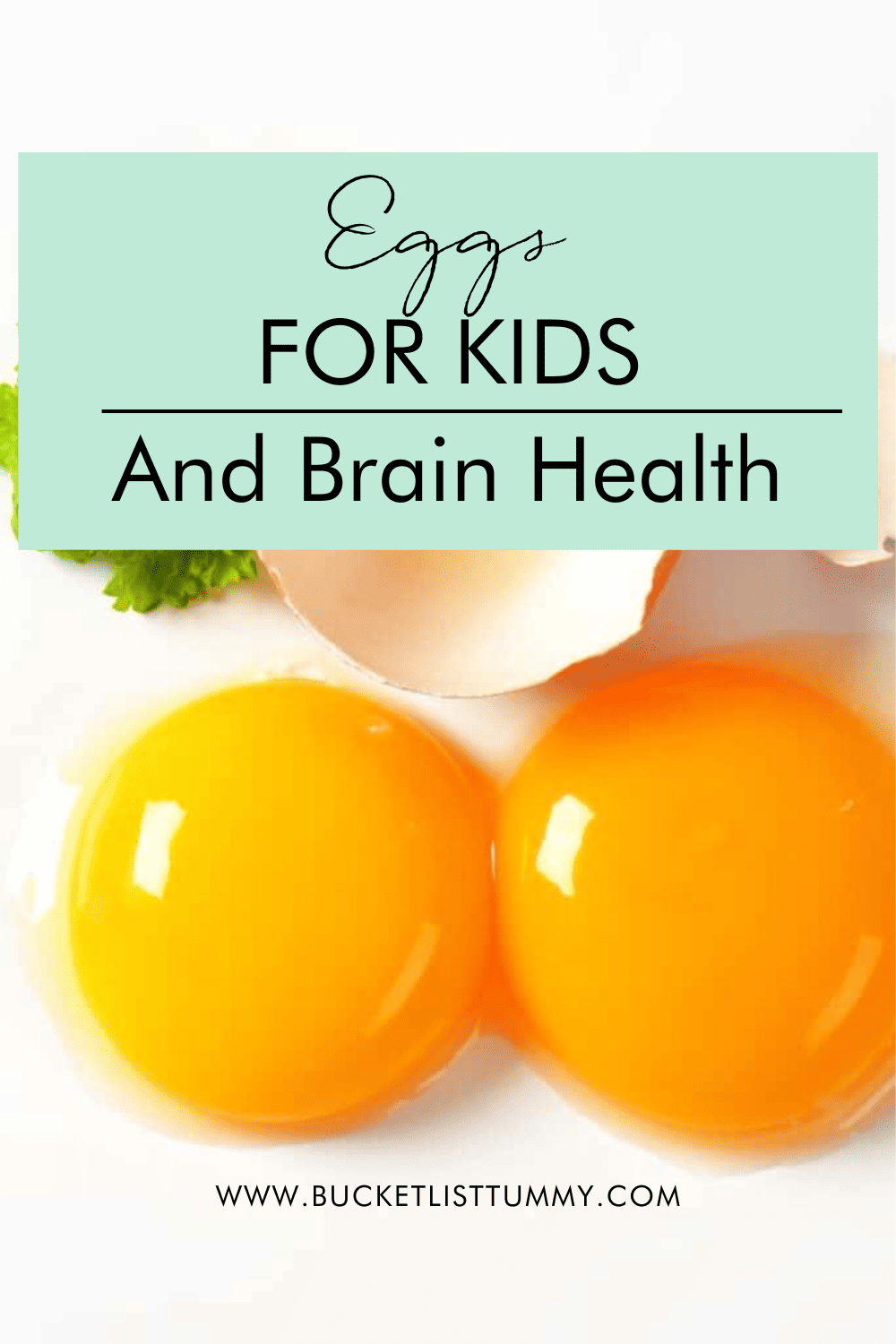 Eggs For Kids and Brain Health - Bucket List Tummy