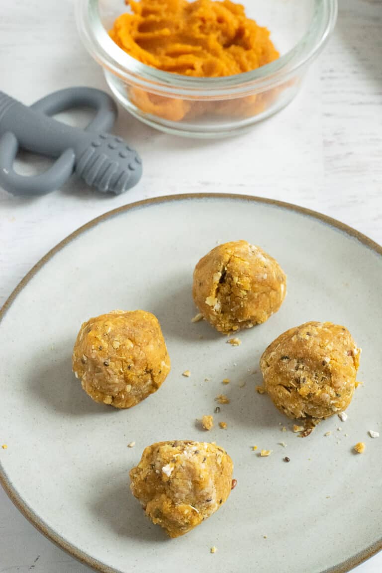 Oatmeal Bites for Babies - Bucket List Tummy