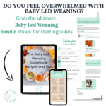 Baby Led Weaning Foods For 8 Months - Bucket List Tummy