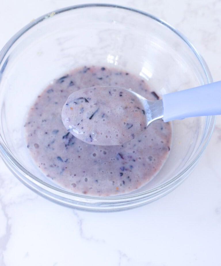 No Cook Blueberry Baby Food Puree - Bucket List Tummy