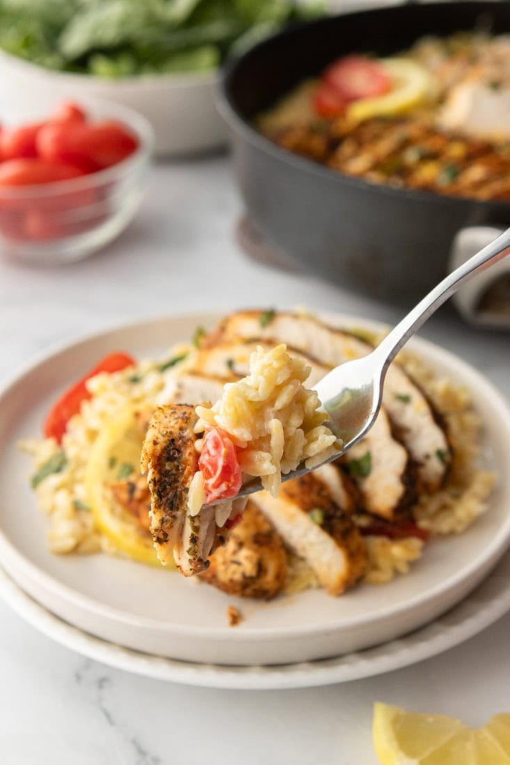 One Pan Creamy Lemon Chicken Orzo with Coconut Milk - Bucket List Tummy