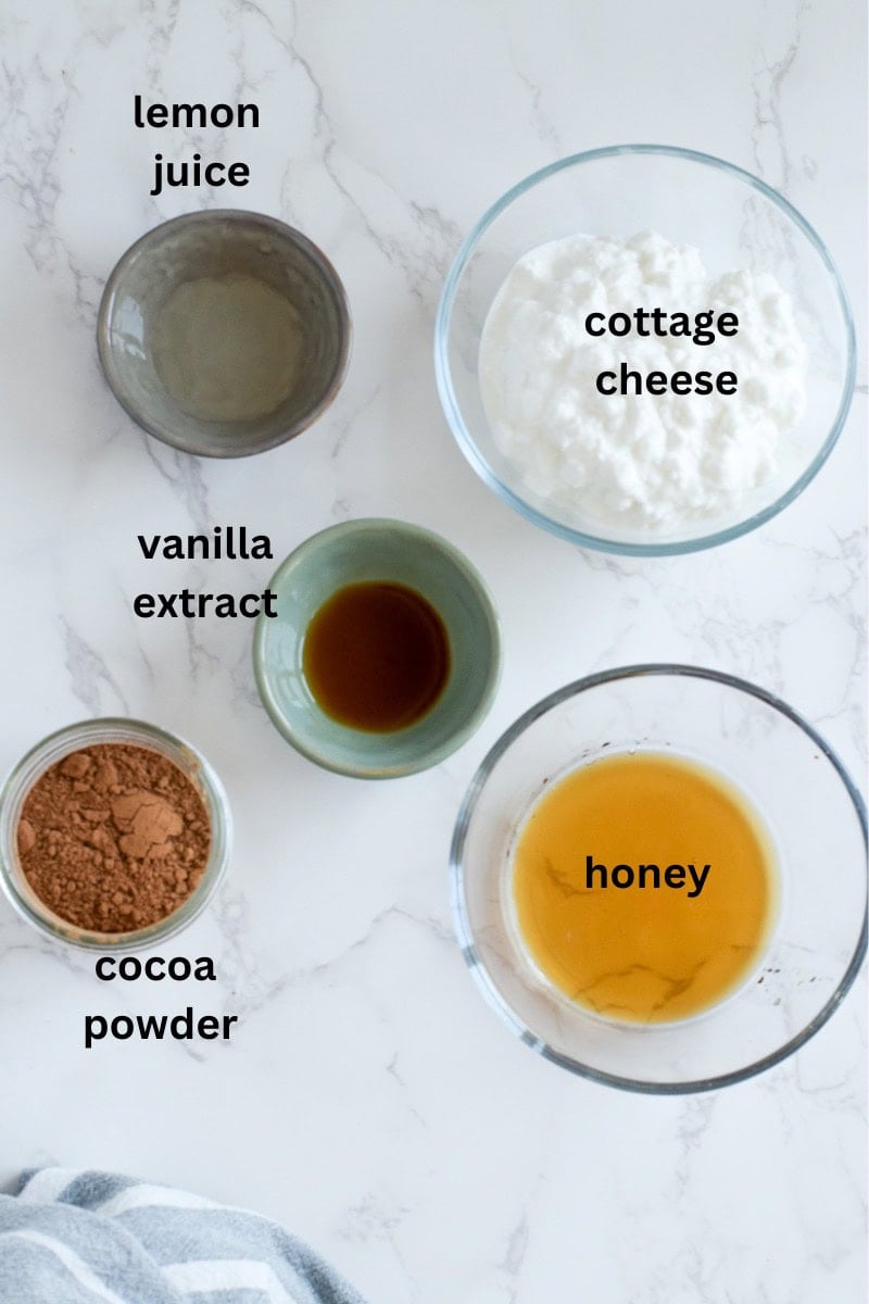 2 Minute Chocolate Cottage Cheese Pudding - Bucket List Tummy